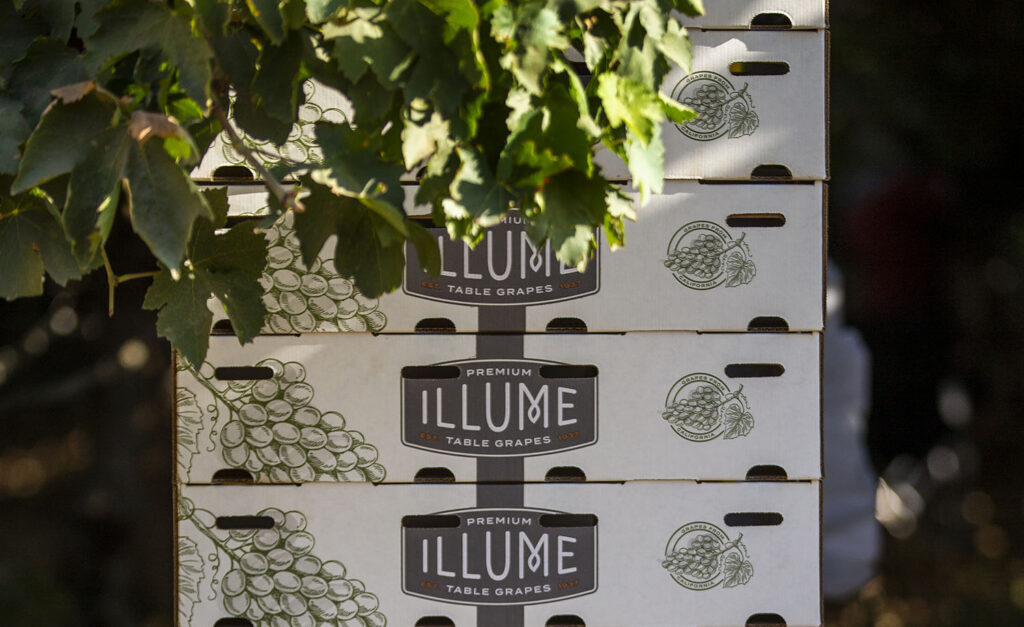 Products - Illume Agriculture